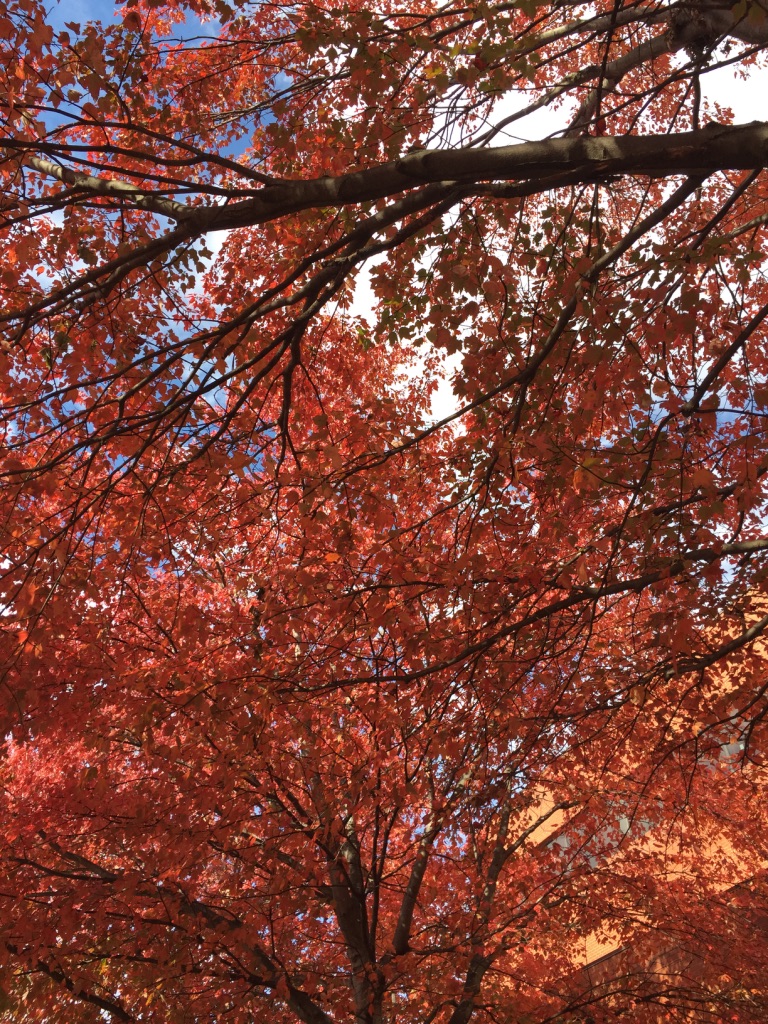 PERM时间线查询 | Avoid Detours